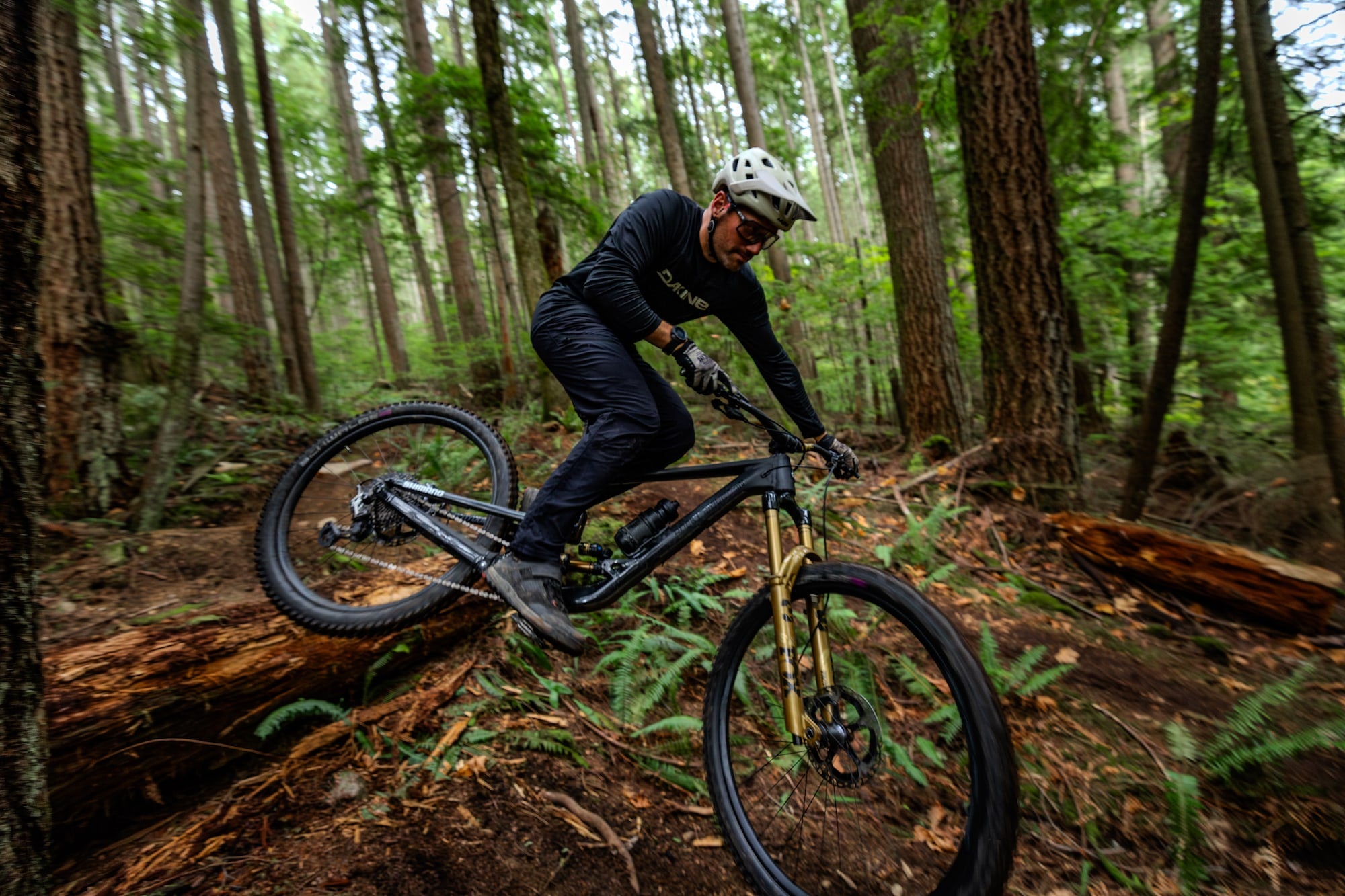 Introducing: Rocky Mountain Bicycles – Steed Cycles