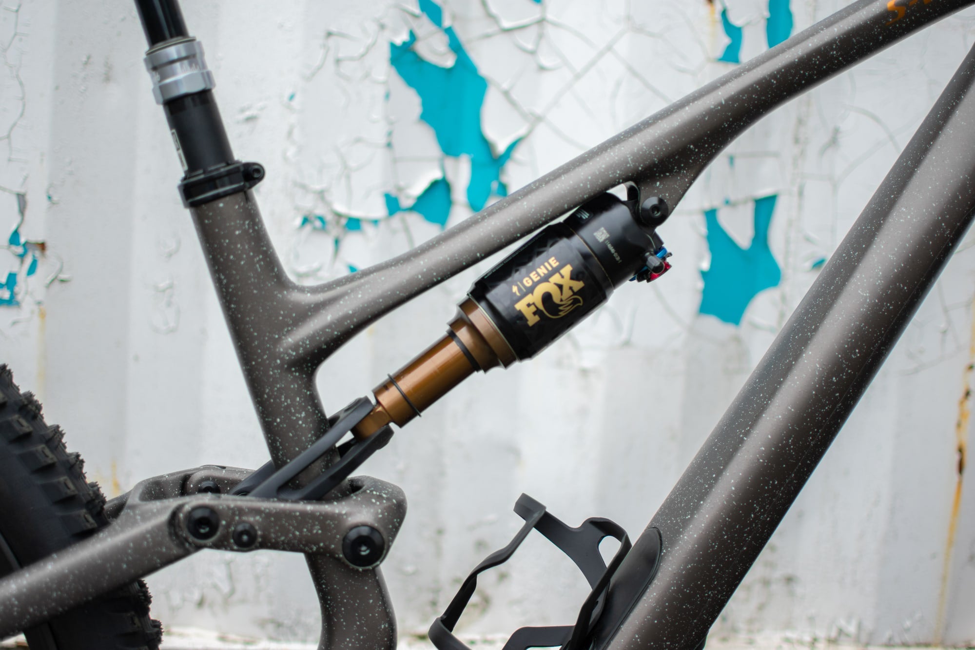 Our Favourite Mountain, Gravel, and Road Bikes of 2024 – Steed Cycles