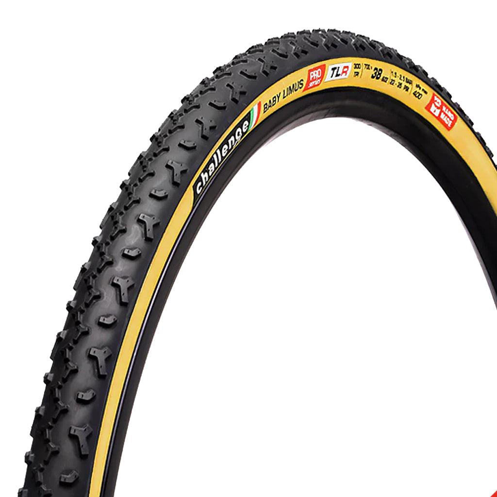 Challenge Baby Limus Pro - Handmade TLR – Steed Cycles