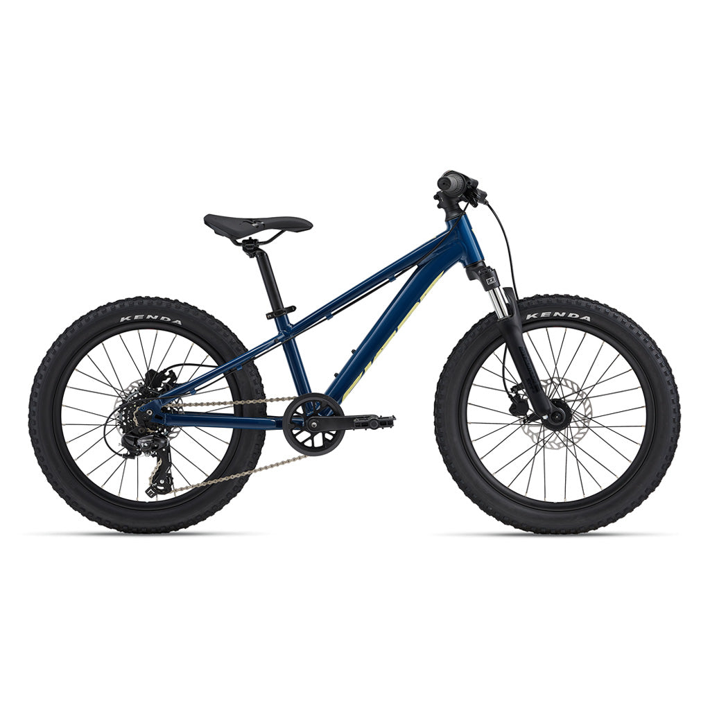 Giant STP 20 FS – Steed Cycles