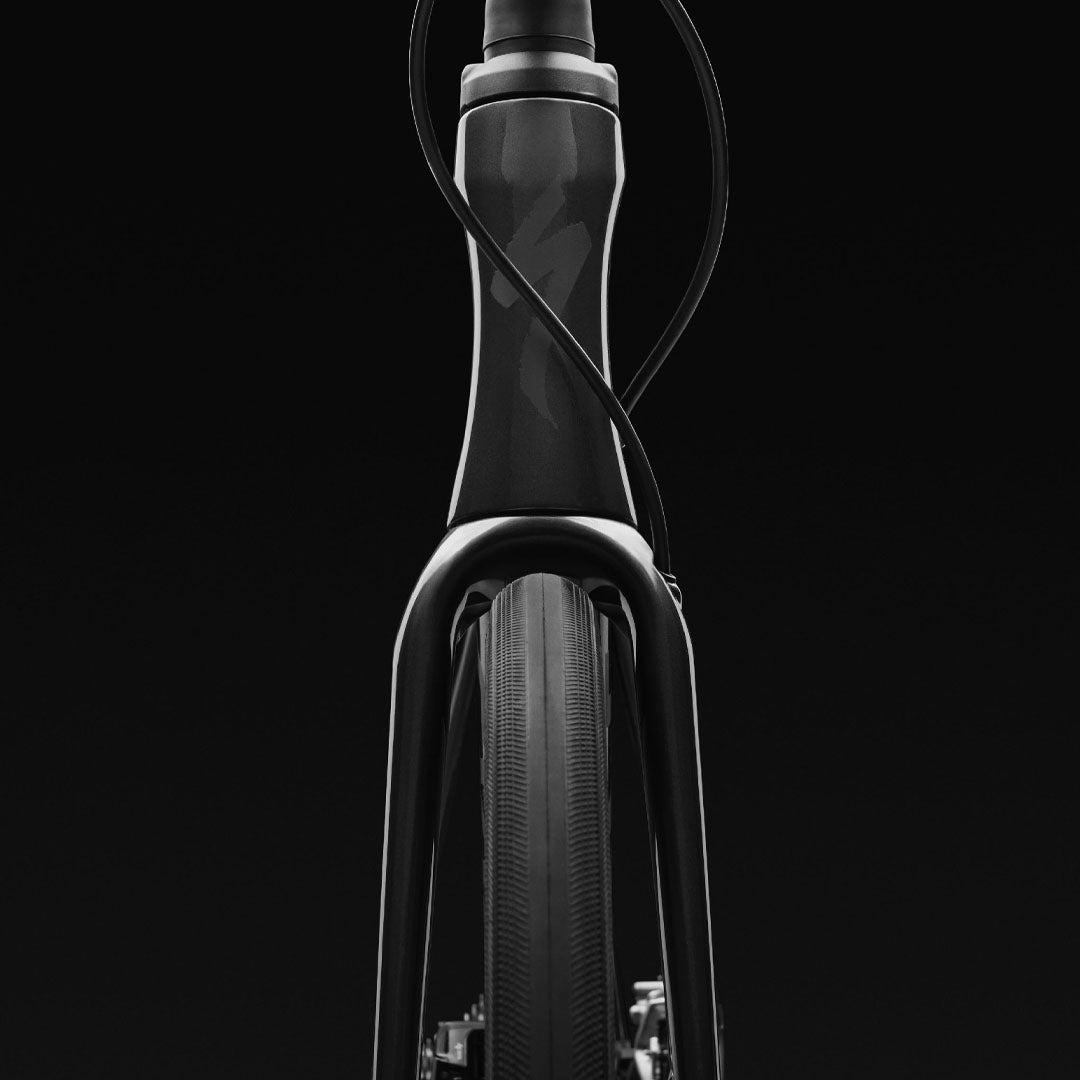 Specialized Roubaix | Steed Cycles