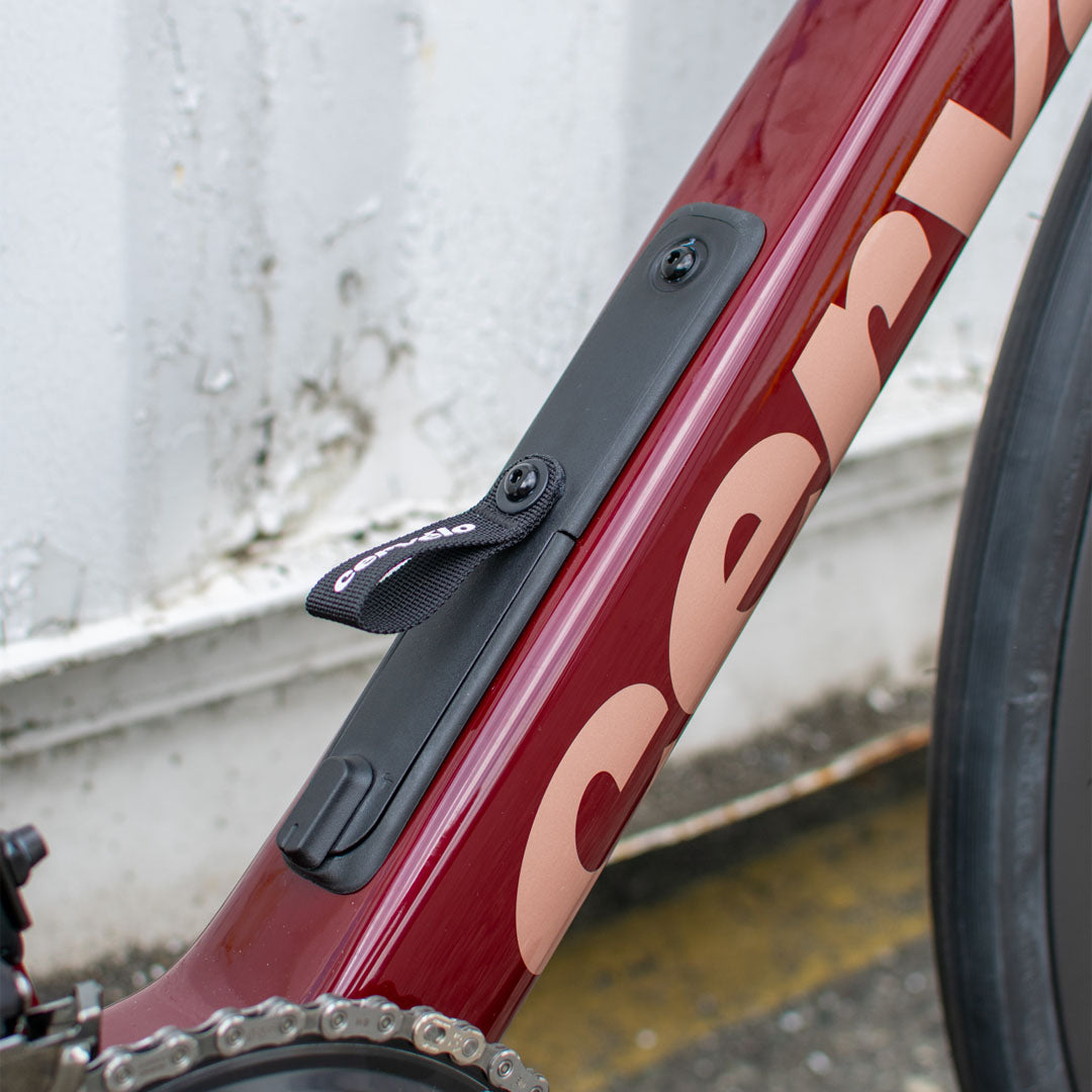 Cervélo Caledonia & Caledonia-5 | Steed Cycles