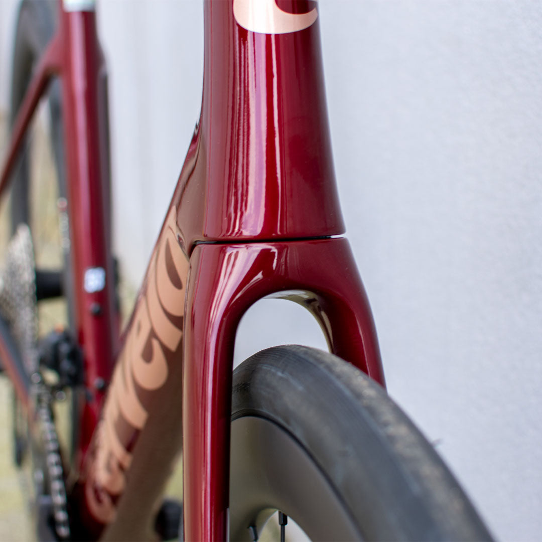 Cervélo Caledonia & Caledonia-5 | Steed Cycles